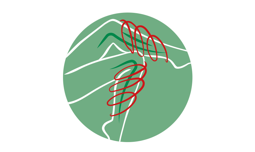 Paroven | Our Solution | Paroven