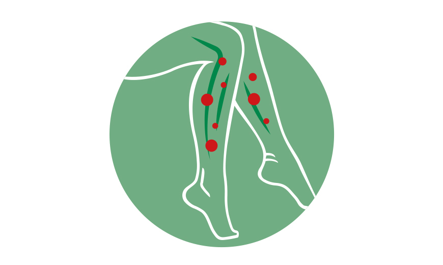 Paroven | Our Solution | Paroven